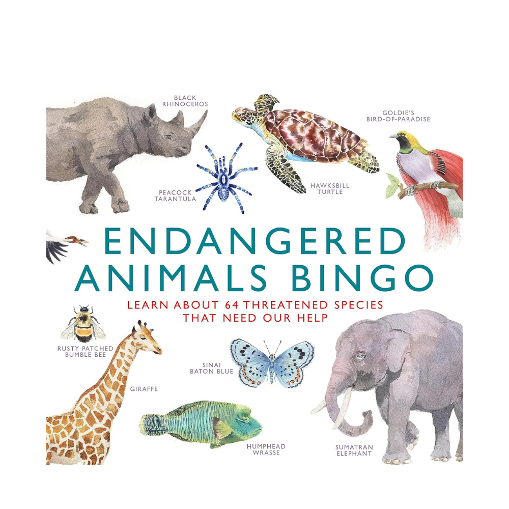 Endangered Animals Bingo | Honeysuckle Store Australia