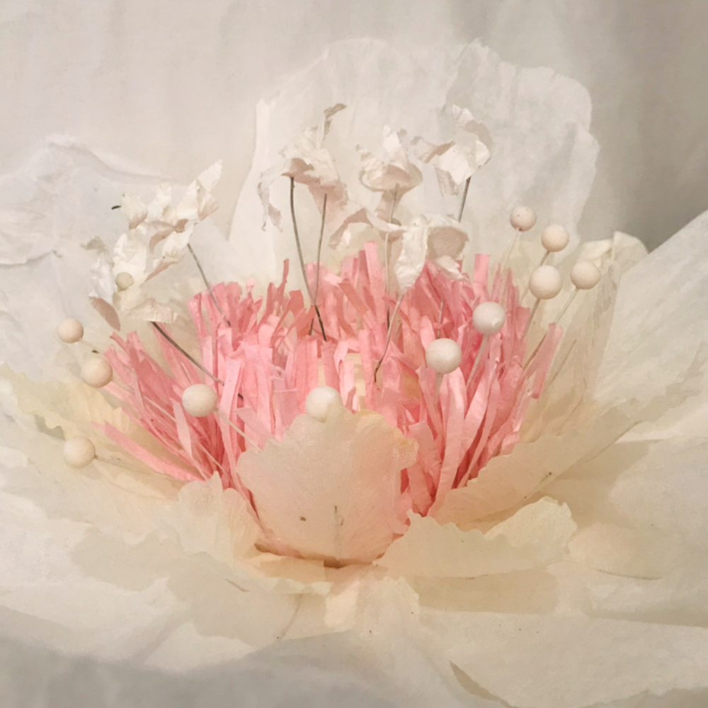 Paper Flower XL - White | Honeysuckle Store Australia