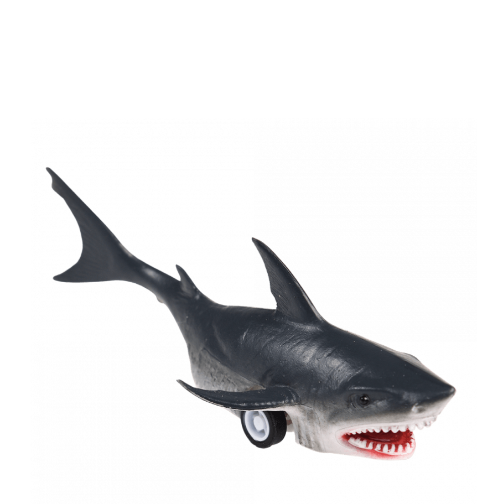 Shark Pull Back Toy | Honeysuckle Store Australia