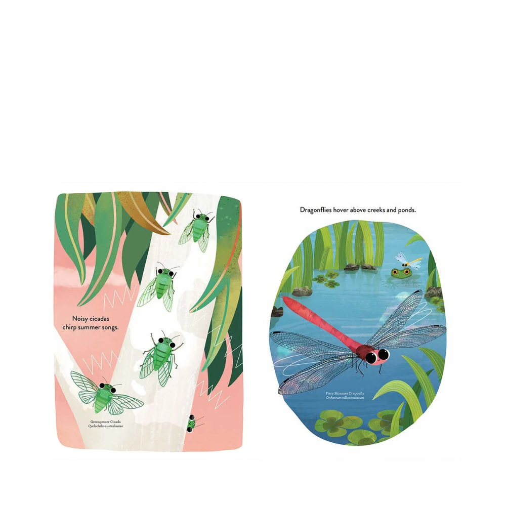 Ingenious Insects | Honeysuckle Store Australia